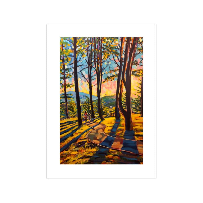 Canberra Spectacular, View From Mount Painter - Canberra.Art